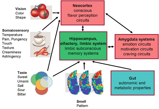 Spices: The Savory and Beneficial Science of Pungency | SpringerLink