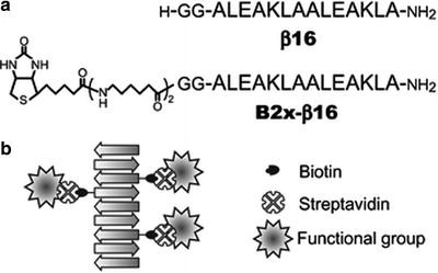Peptide Synthesis and Self-Assembly | SpringerLink