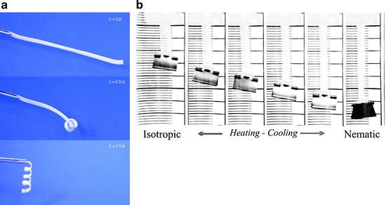 Shape-Memory Polymers and Shape-Changing Polymers | SpringerLink