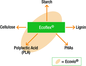 Ecoflex® and Ecovio®: Biodegradable, Performance-Enabling Plastics | SpringerLink