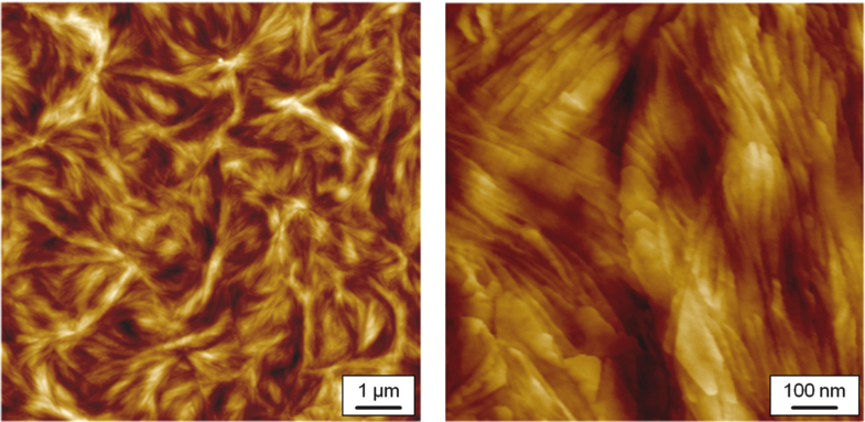 Thermal Properties of Biobased Polyamide 11 | SpringerLink