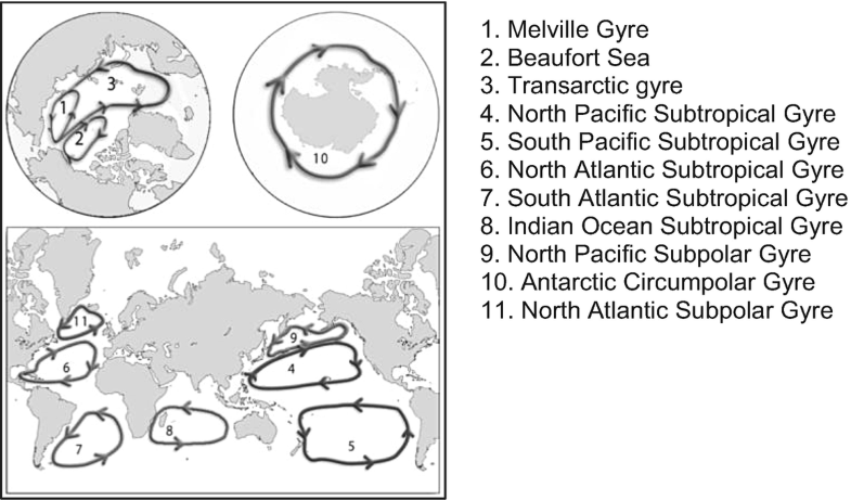 Nature of Plastic Marine Pollution in the Subtropical Gyres | SpringerLink