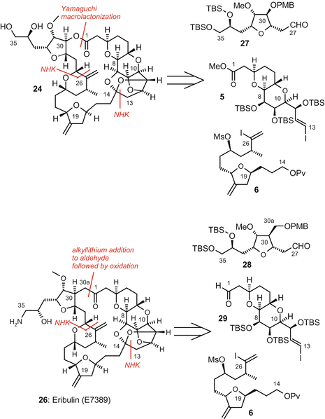 Story of Eribulin Mesylate: Development of the Longest Drug Synthesis ...