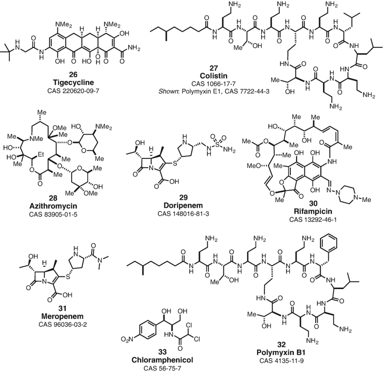 Synergistic Antibiotic Combinations | SpringerLink