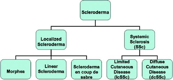 Systemic Sclerosis | SpringerLink