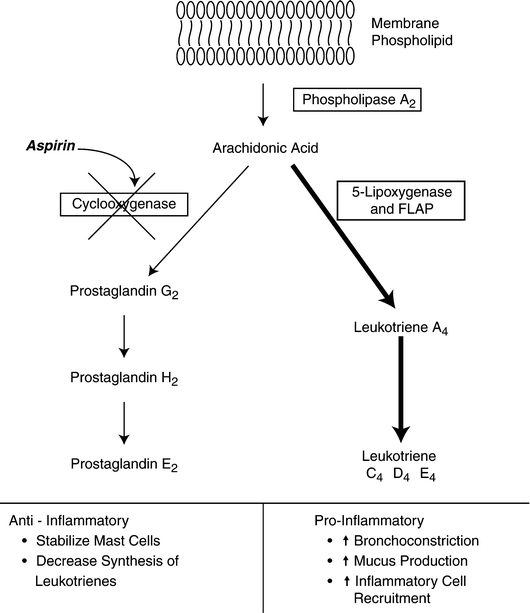 Reactive Airway Disease and the Management of Samter’s Triad | SpringerLink