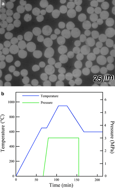 Ceramic Matrix Composites | SpringerLink
