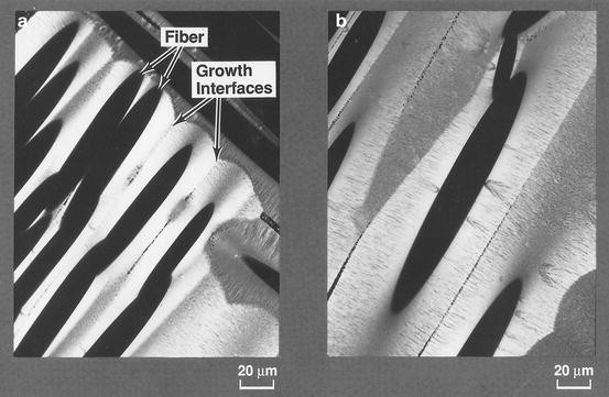 Ceramic Matrix Composites | SpringerLink