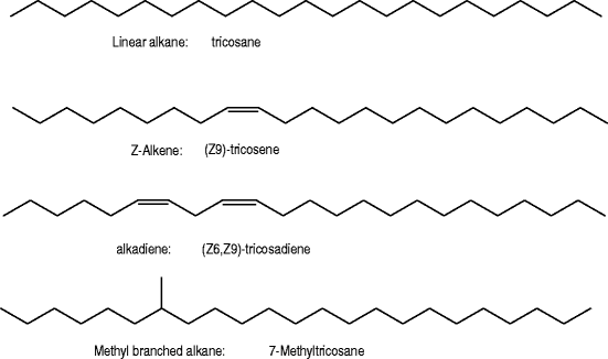 Cuticular Hydrocarbons: A New Tool in Forensic Entomology? | SpringerLink