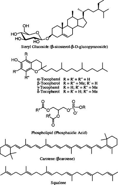 Biodiesel Production, Properties, and Feedstocks | SpringerLink