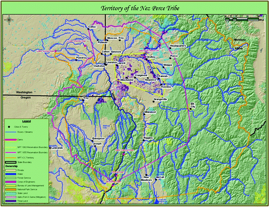 Nez Perce Involvement with Solving Environmental Problems: History ...