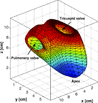 Vortex Formation in the Heart | SpringerLink