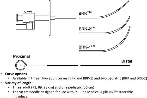 Transseptal Puncture | SpringerLink