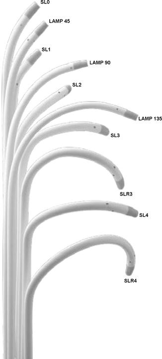 Transseptal Puncture | SpringerLink