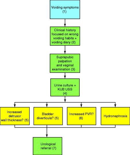 Female Dysuria/Urinary Tract Infection | SpringerLink
