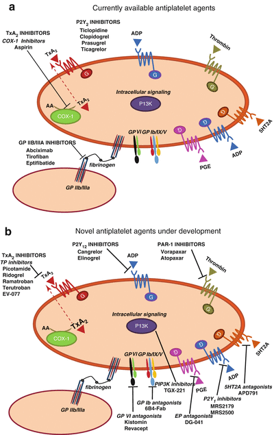 Antiplatelet Therapy. New Potent P2Y12 Inhibitors | SpringerLink