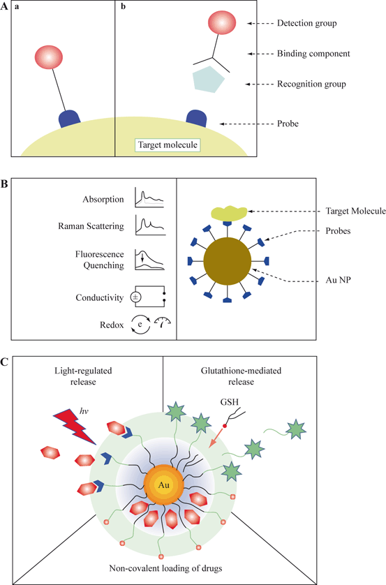 Biomedical Applications of Gold Nanoparticles | SpringerLink