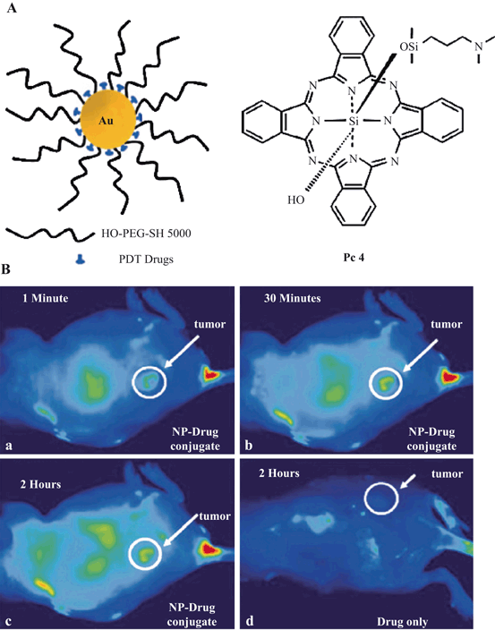 Biomedical Applications of Gold Nanoparticles | SpringerLink
