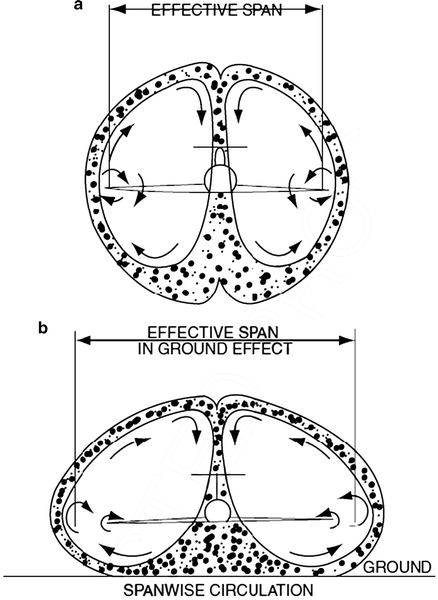Wings in Ground Effect: Ekranoplans and WIG Craft | SpringerLink