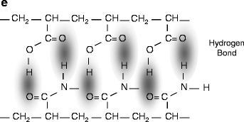 Hydrogels | SpringerLink