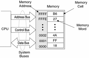 Microcomputer Organization | SpringerLink