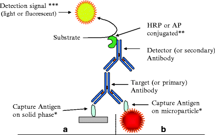 Antibody Detection: Principles and Applications | SpringerLink