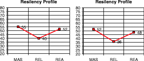Resiliency Scales for Children and Adolescents: Theory, Research, and ...
