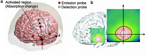 Photon Migration in NIRS Brain Imaging | SpringerLink