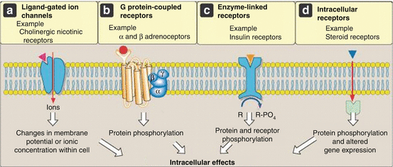 Pharmacodynamic Interactions: Core Concepts | SpringerLink