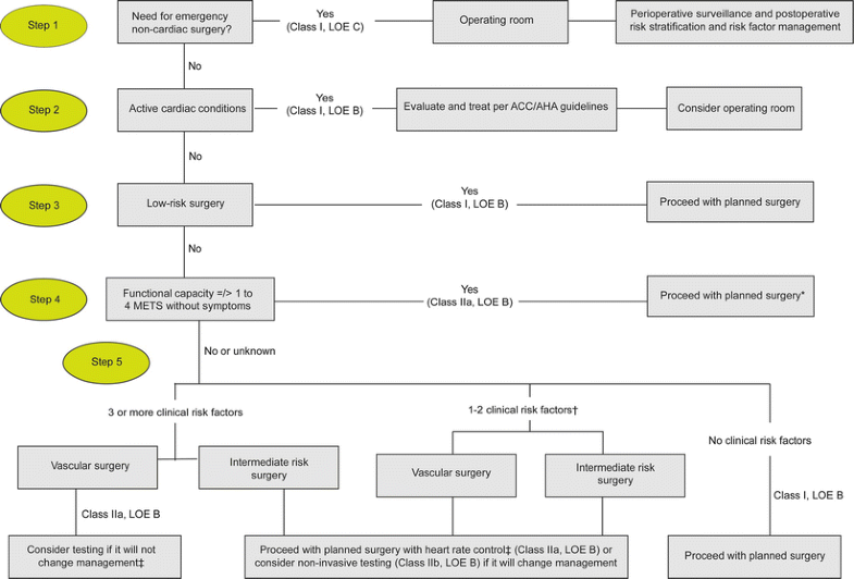Perioperative Risk Assessment | SpringerLink