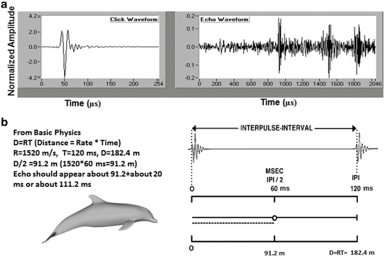 Analysis of Natural Scenes by Echolocation in Bats and Dolphins ...