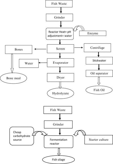Use of Seafood Processing By-products in the Animal Feed Industry ...