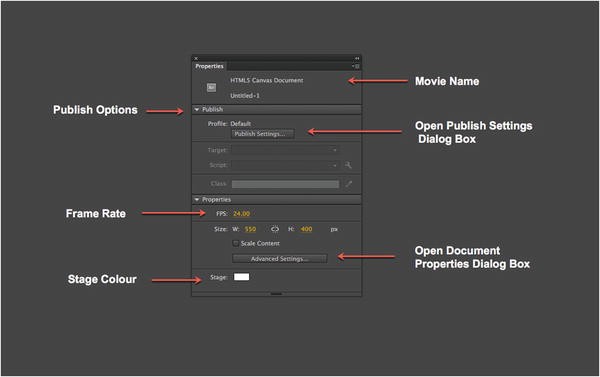 Learning the Animate CC Interface | SpringerLink