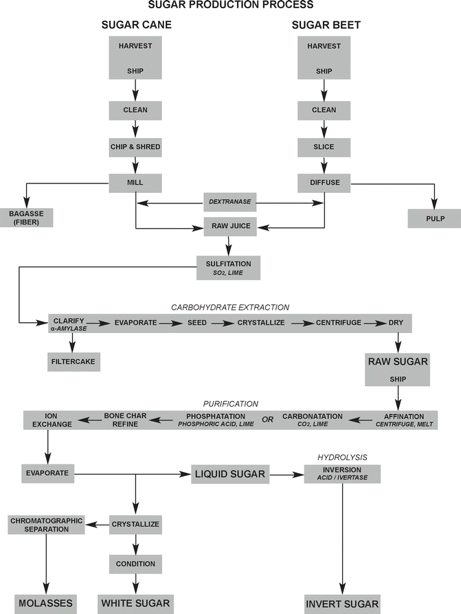 Sucrose, HFCS, and Fructose: History, Manufacture, Composition ...