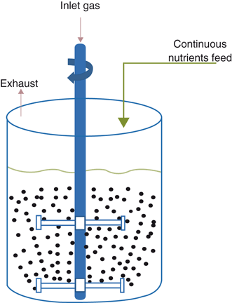Bioreactors for Plant Biomass Production and Bioprocessing | SpringerLink