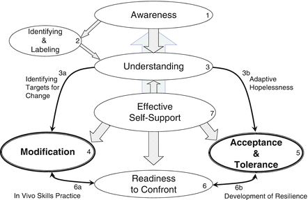 The Adaptive Coping with Emotions Model (ACE Model) | SpringerLink