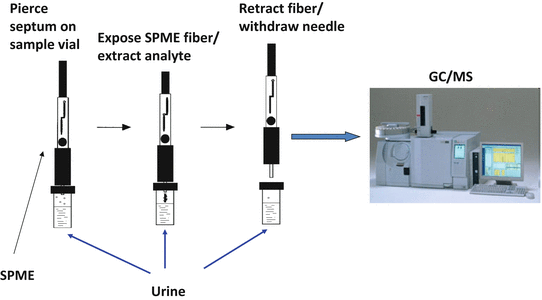 Headspace SPME-GC-MS Metabolomics Analysis of Urinary Volatile Organic ...