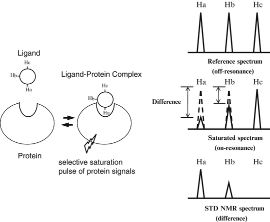 NMR Analysis of Carbohydrate-Binding Interactions in Solution: An Approach Using Analysis of ...