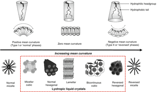 Cubosomes: Structure, Preparation and Use as an Antigen Delivery System ...