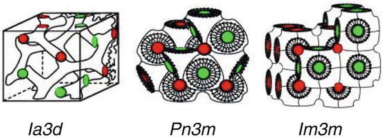 Cubosomes: Structure, Preparation and Use as an Antigen Delivery System ...