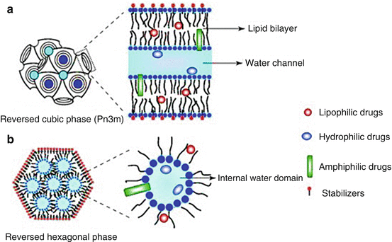 Cubosomes: Structure, Preparation and Use as an Antigen Delivery System ...