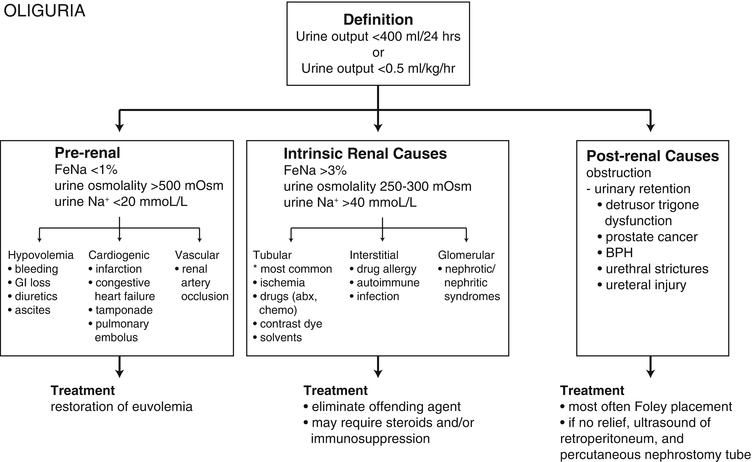 Oliguria | SpringerLink