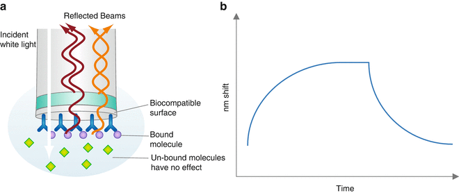 Label-Free Kinetic Analysis of an Antibody–Antigen Interaction Using ...
