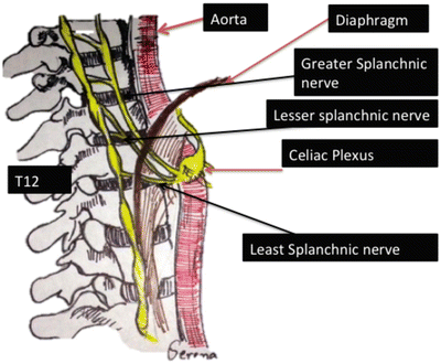 Sympathetic Block Injections | SpringerLink