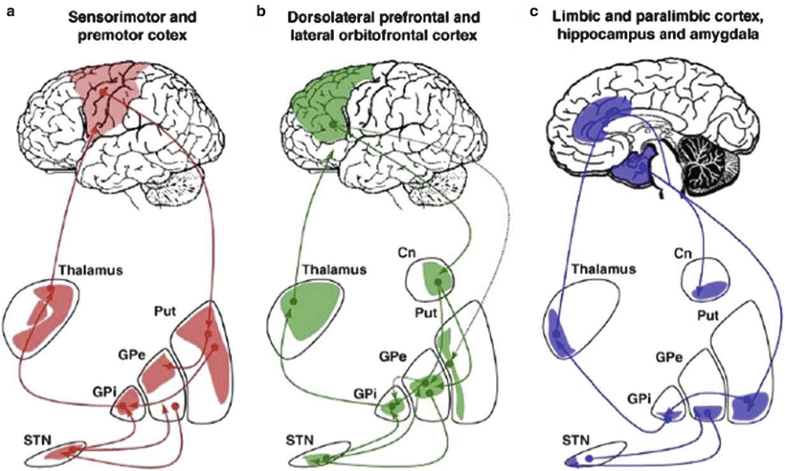 Neuromodulation in Psychiatry | SpringerLink