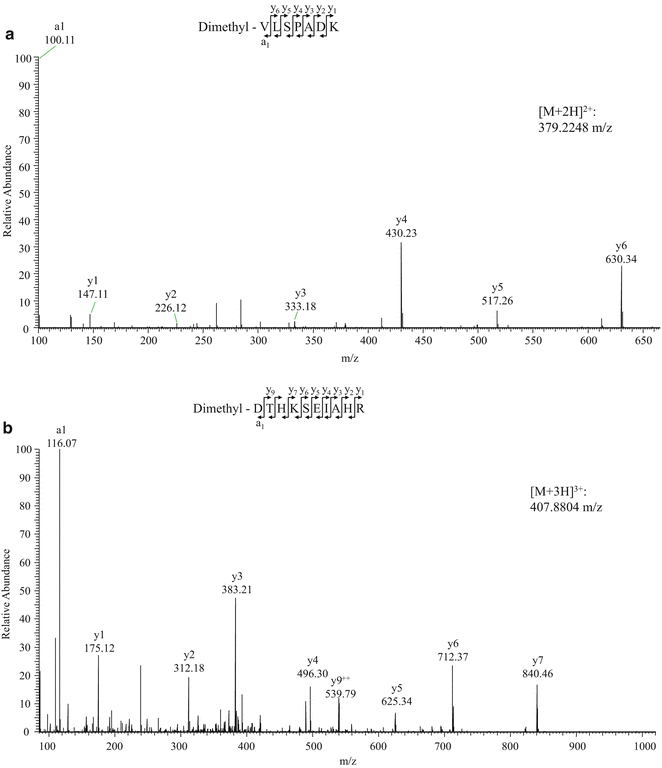 Identification of Protein N-Termini Using TMPP or Dimethyl Labeling and ...