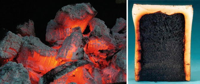 Smoldering Combustion | SpringerLink