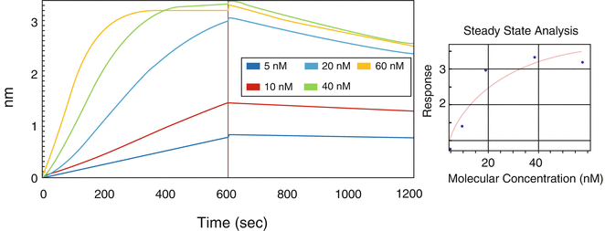 Biolayer Interferometry: A Novel Method to Elucidate Protein–Protein ...