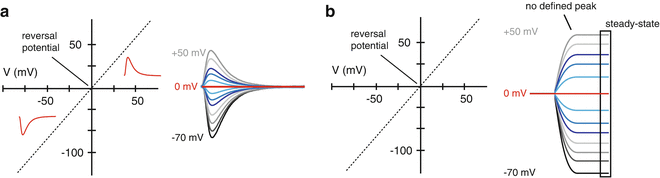Measuring Reversal Potentials | SpringerLink