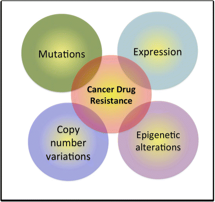 Managing Drug Resistance in Cancer: Role of Cancer Informatics ...